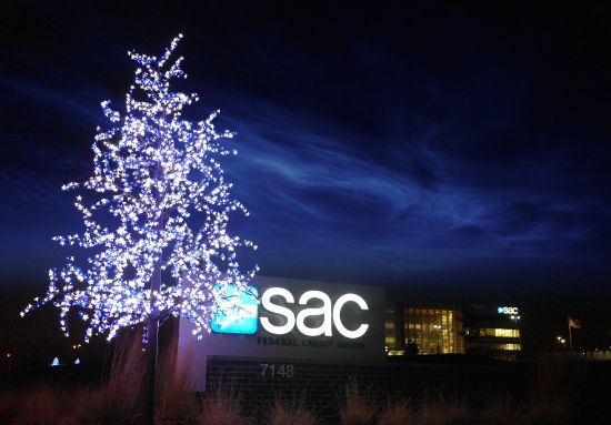 Holidynamics - 13' Commercial LED Cherry Blossom Tree - Pure White & Blue