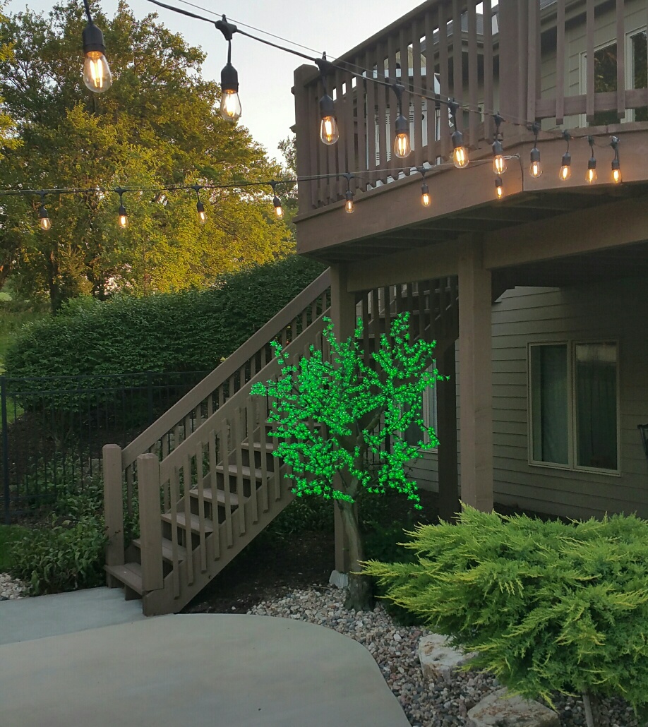 Holidynamics - Edison Plug Female Slide Black SPT-2