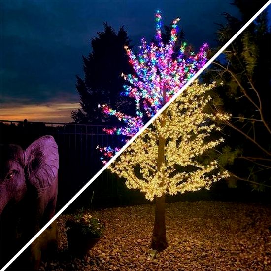 Holidynamics - Dynamic RGBWW Cherry Blossom Tree 10'