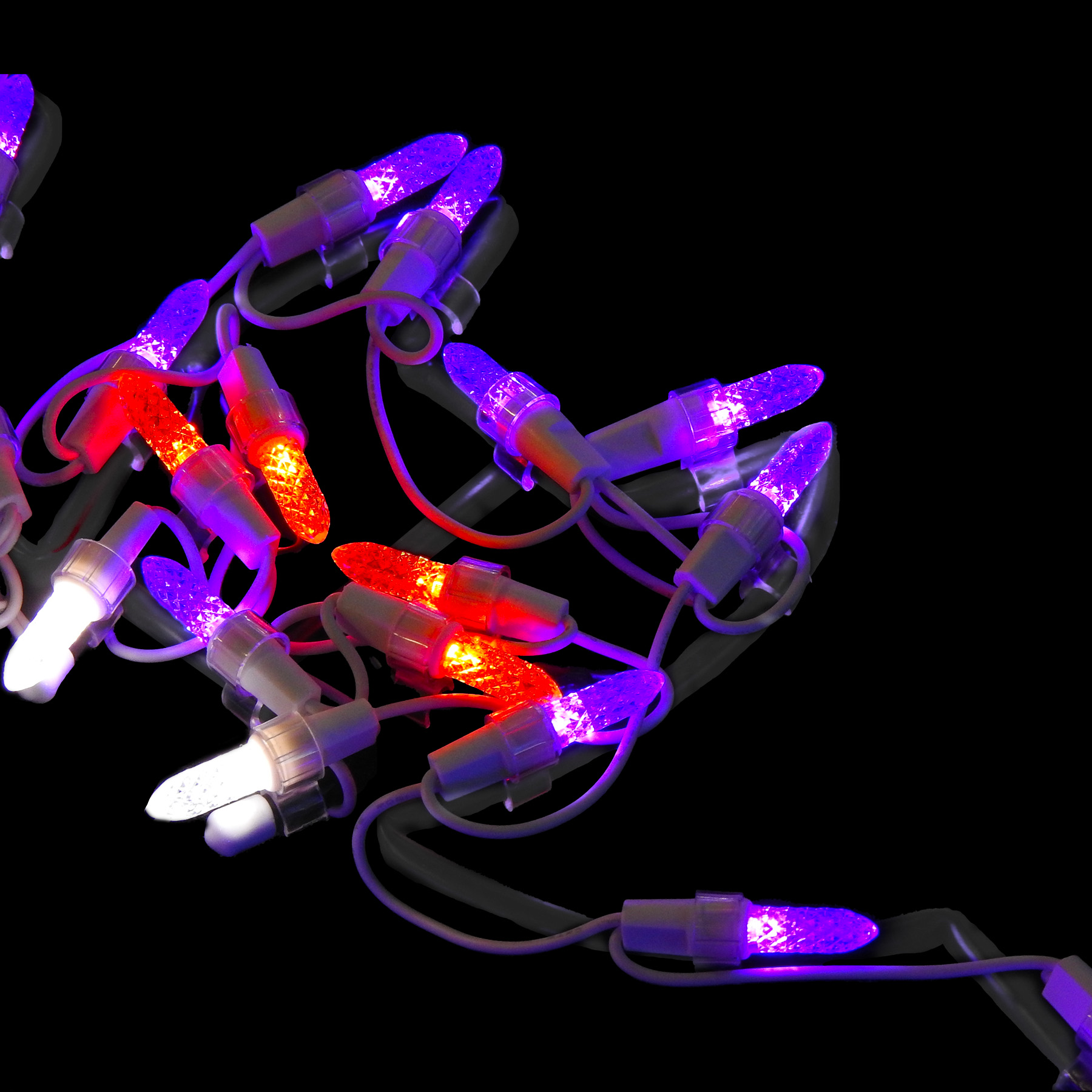 Holidynamics - Halloween LED VLAD Bat 23"