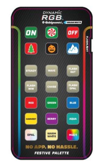 Holidynamics - Dynamic RGBWW 100w Controller and Remote