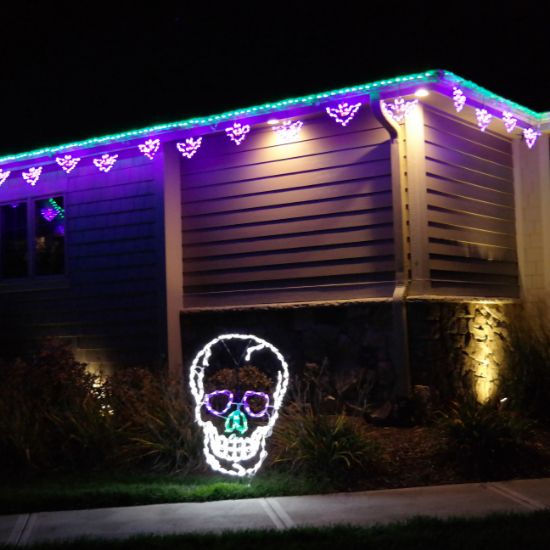 Holidynamics - Halloween LED Lighted Skull 36"